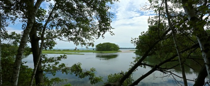 Mashomack Preserve, Shelter Island / The Nature Conservancy – Art ...