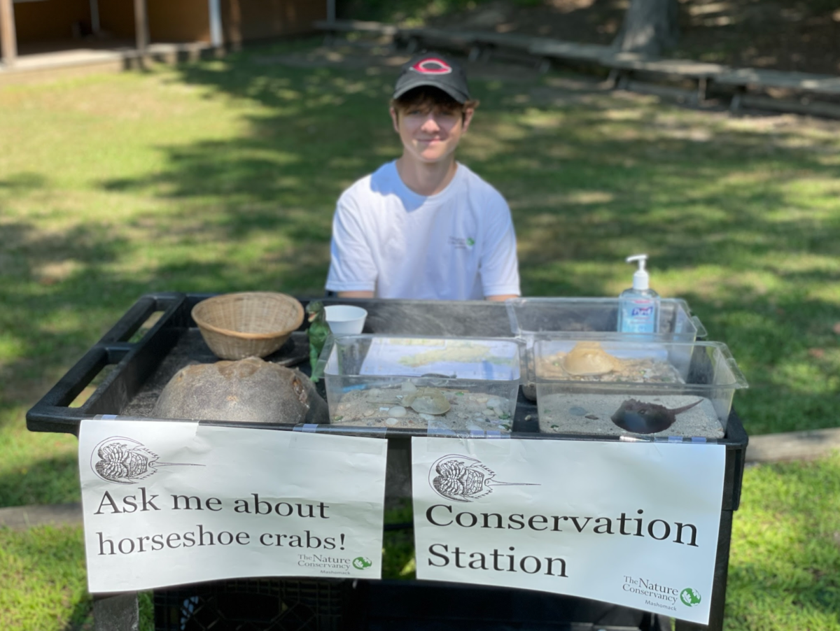 The Nature Conservancy: September at Mashomack Preserve, Shelter Island ...
